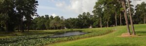 Red Wolf Golf Resort – Huffman, TX – Premier Golf Course
